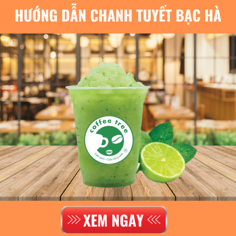 Công thức pha chế chanh tuyết bạc hà - CoffeeTree